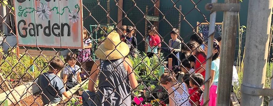 Parent Portal – Parent Info – 3rd Street Elementary