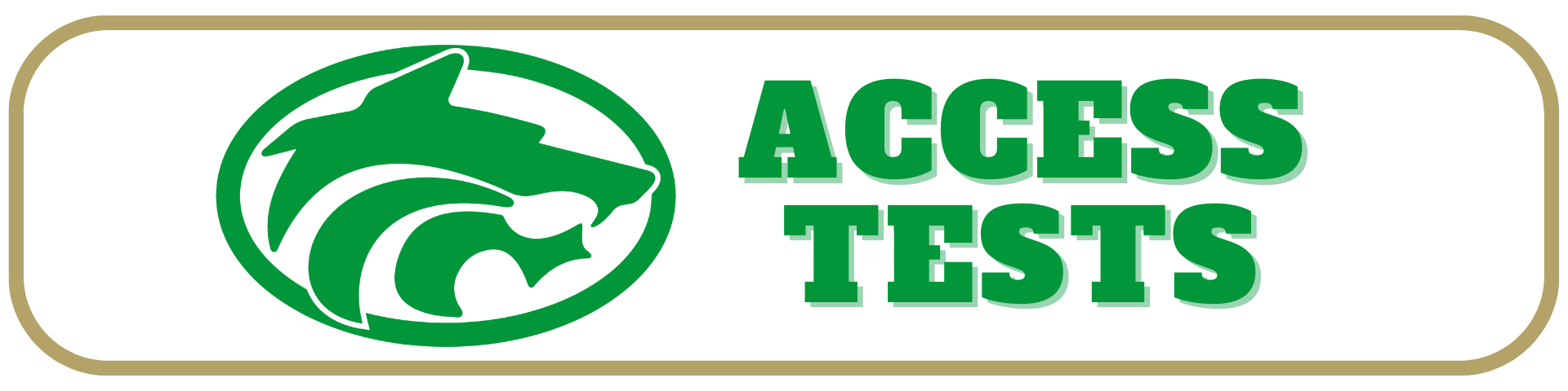 ACCESS – Assessments – Buford Senior Academy