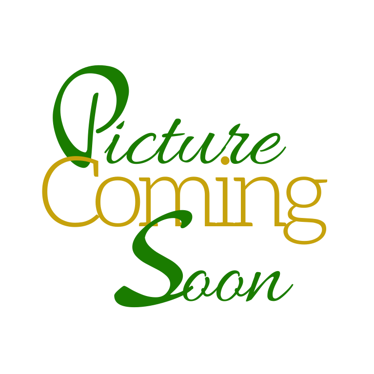 Staff – 8th Grade – Buford Middle School