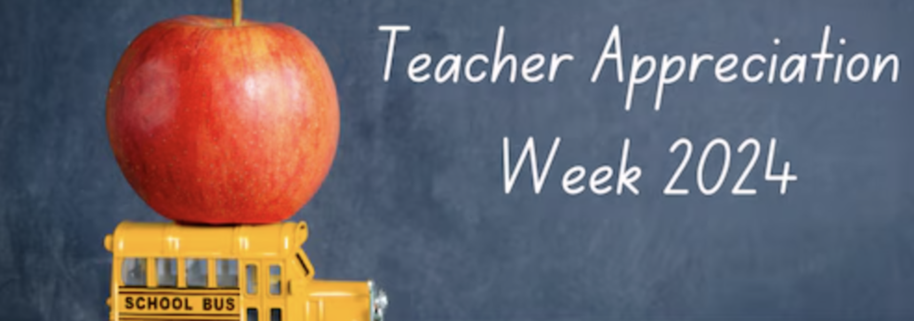 Meyler Street Elementary School and Dual Language Program