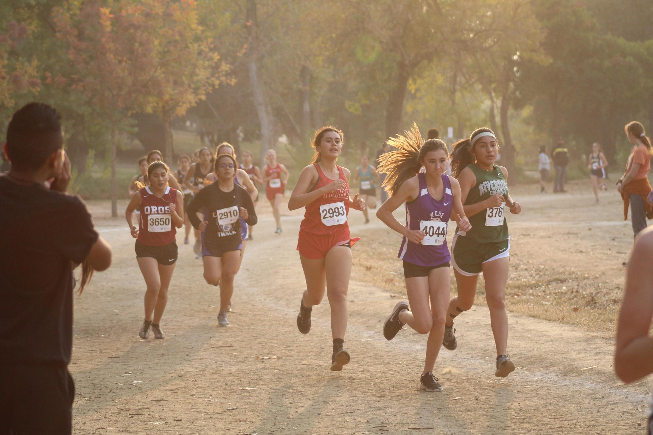 Girl's CIF Central Section D5 Cross Country Championship Race, Woodward Park, Nov. 15, 2018 ...