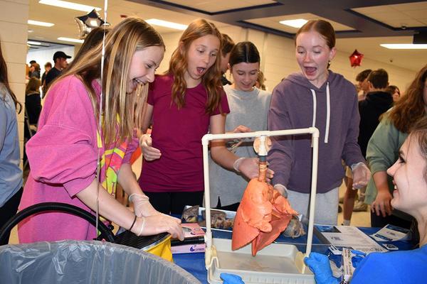 Mars Area Middle School