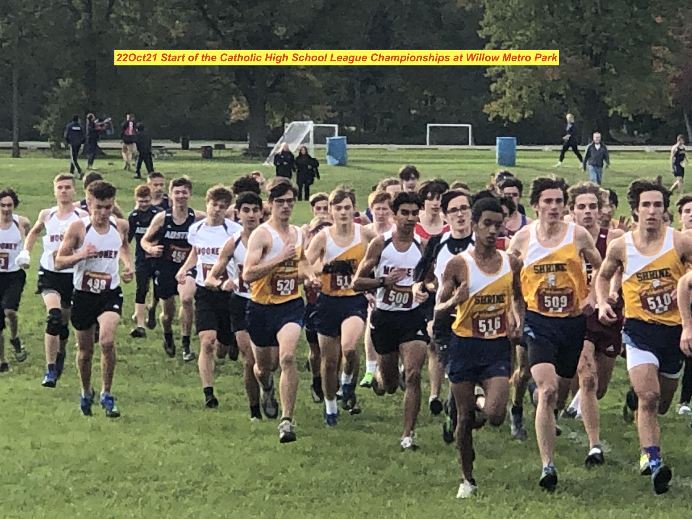 The Team - Cross Country - Cardinal Mooney Catholic High School