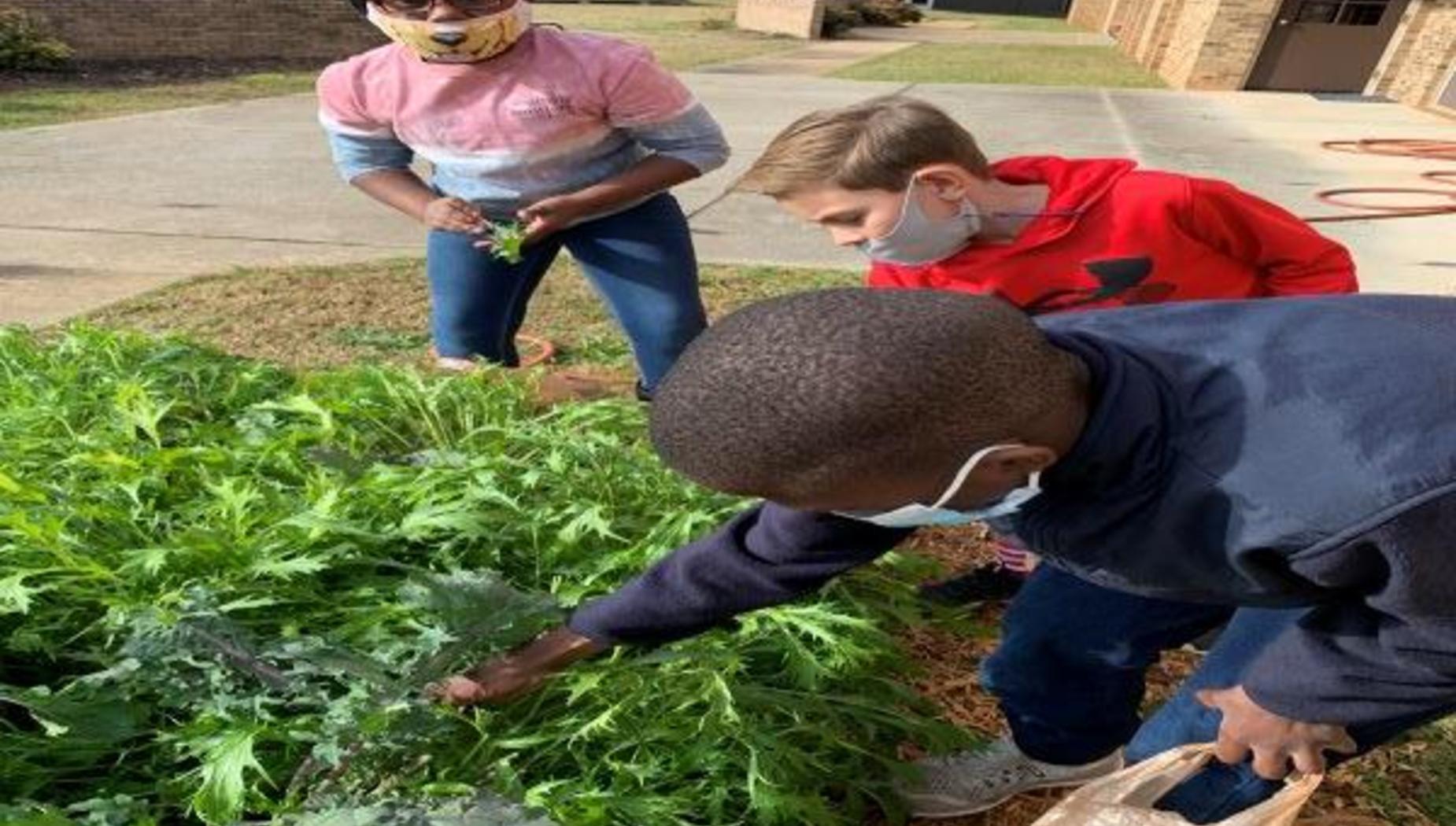 Calhoun Academy of the Arts