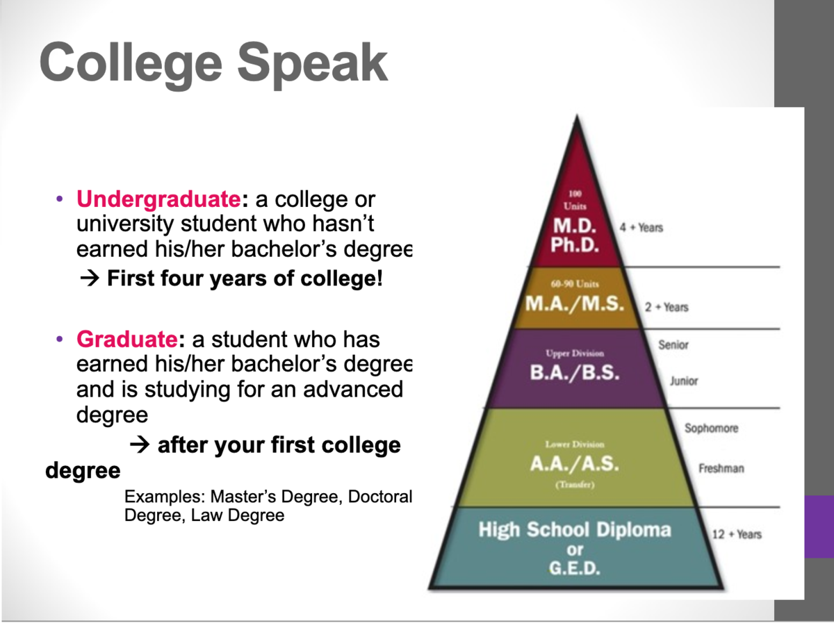 Different Types Different Types Of Degrees Vrogue co