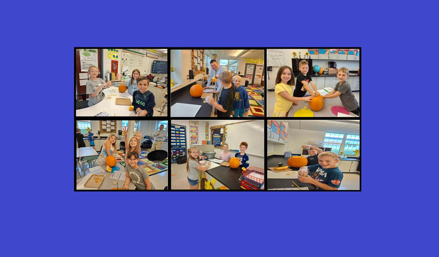 Chestnut Ridge School District