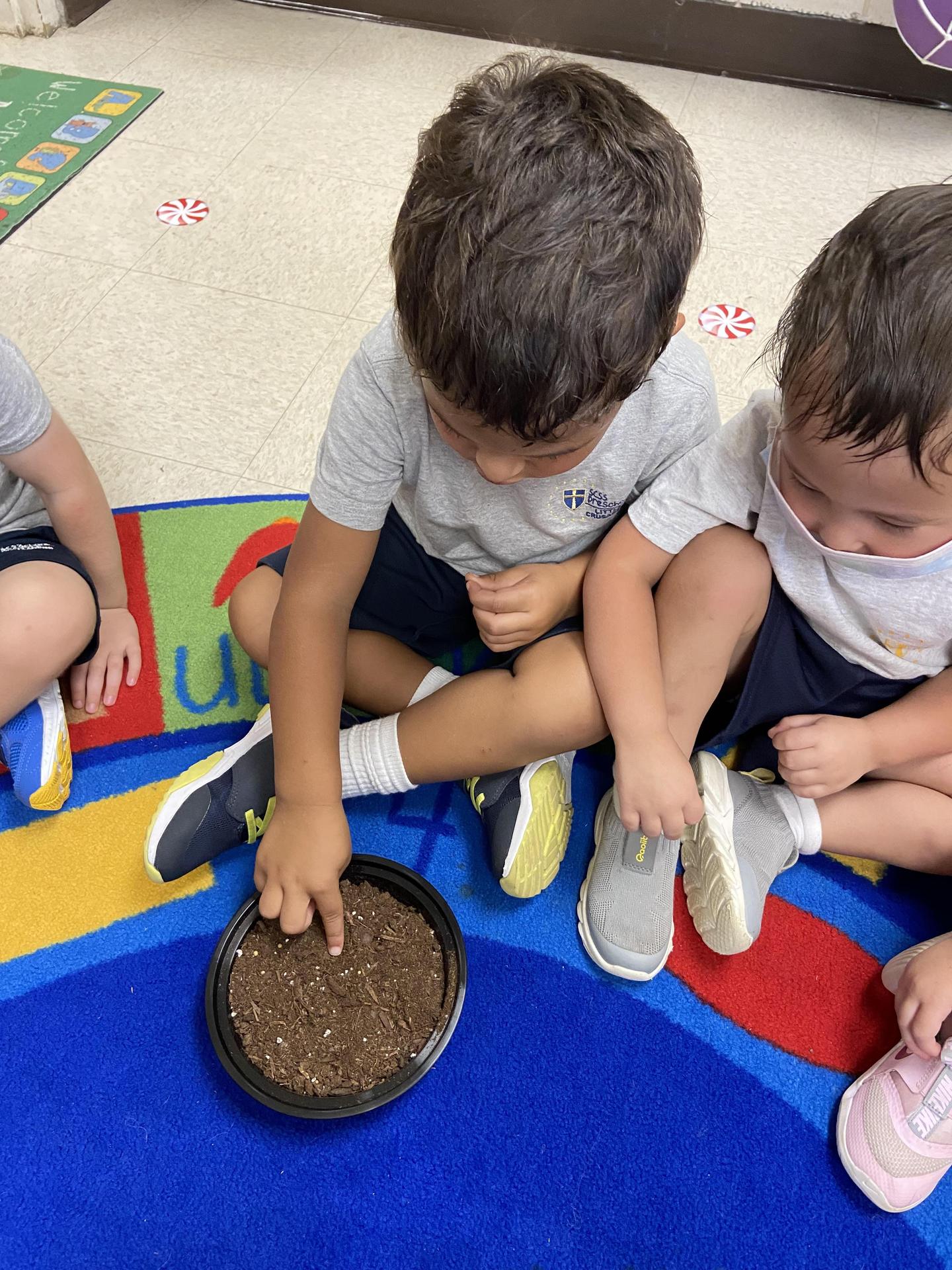 PreK 3 News – Mrs. Lyndsay Cardozo – St. Catherine of Siena School