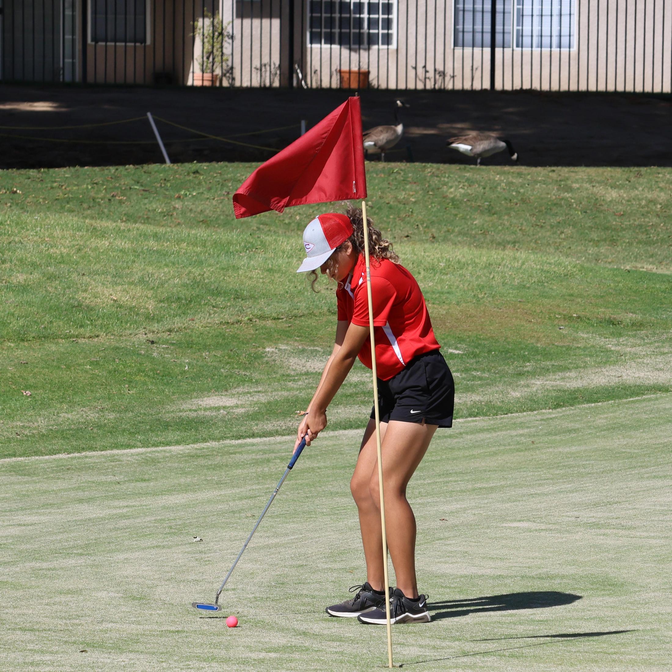 Girls Golf NWSC Championship, Pheasant Run, October 11, 2023 – CUHS ...