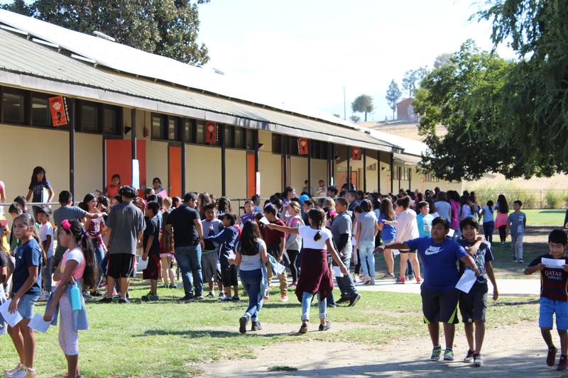 College Week | John J. Doyle Elementary School