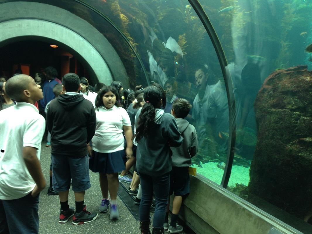 Field Trips – Elementary – Harry Bridges Span School