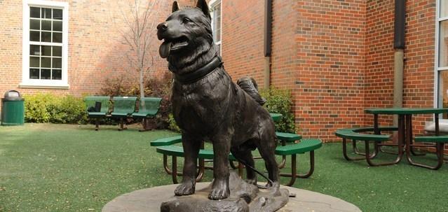 Robert S. Hyer Elementary