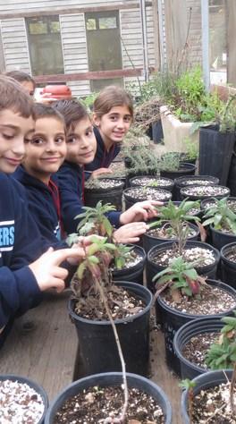 Vahan & Anoush Chamlian Armenian School
