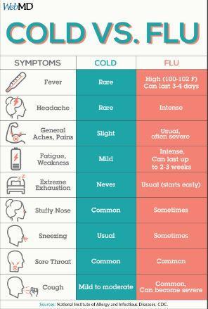 Is it a Cold or the Flu? – School Nurse – T.L. Hanna High School