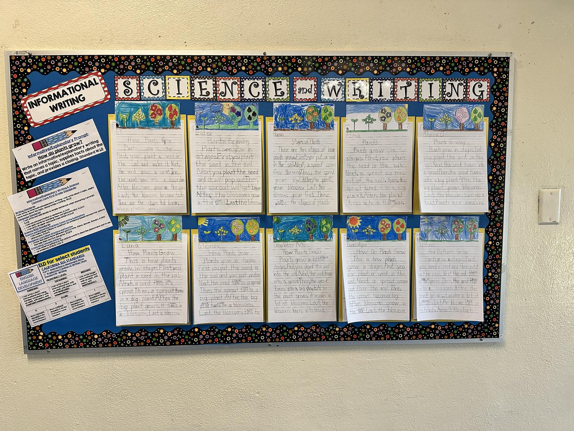 STEAM Magnet Classroom Activities and Photos – STEAM Magnet – Victory ...