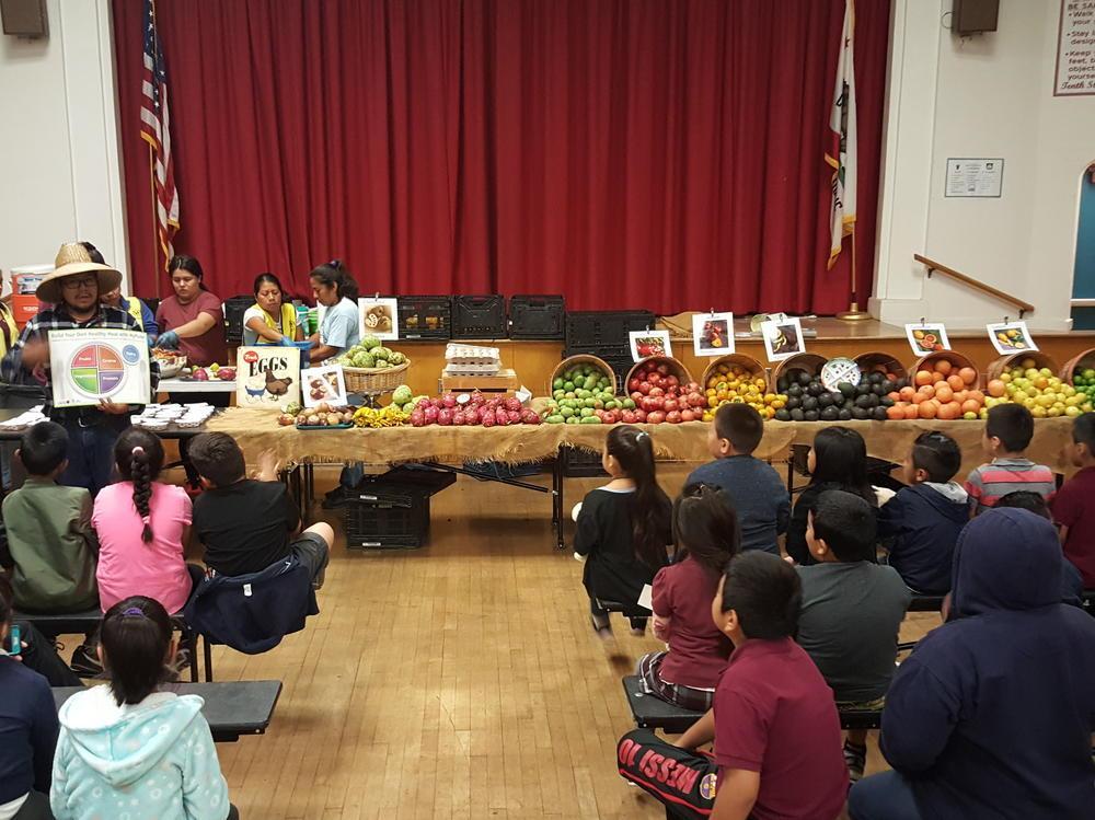 Enrichment – PROGRAMS – 10th Street Elementary