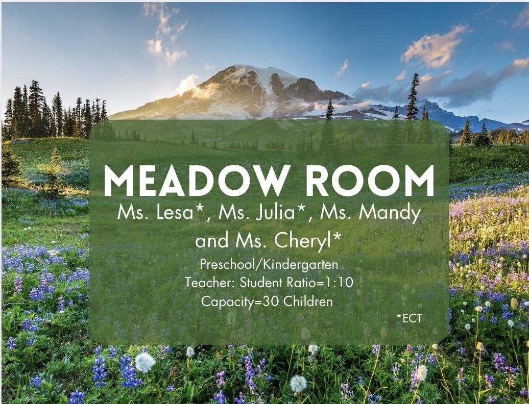 Meadow Home Page – Meadow Room – Compass Montessori