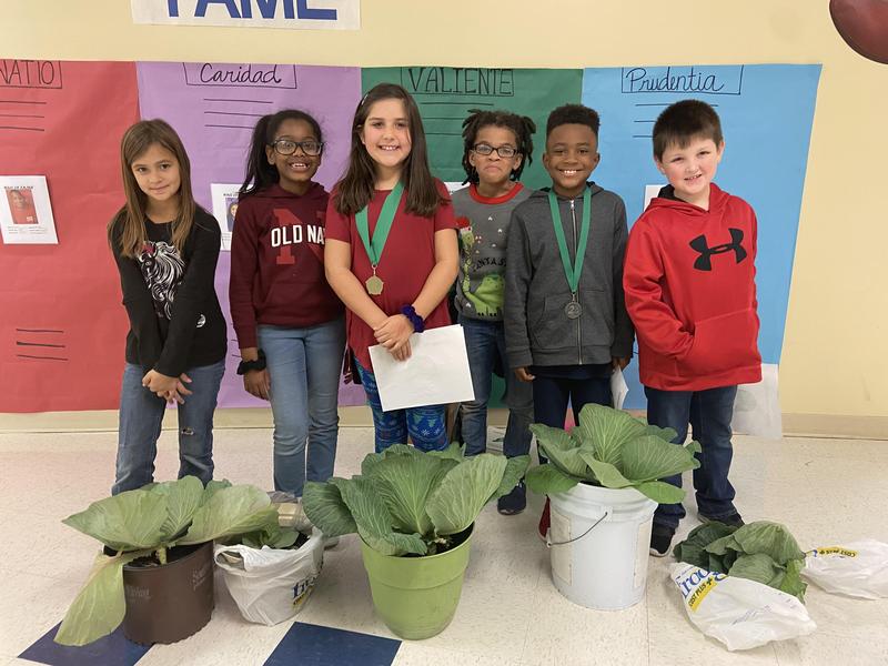 Third Grade Students Participate in a Cabbage Growing Contest | Pass ...