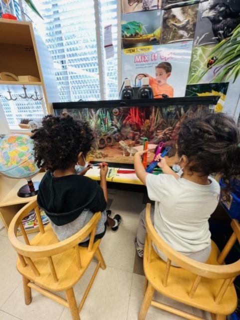 Blue Room – Blue Room – Logan Early Education Center