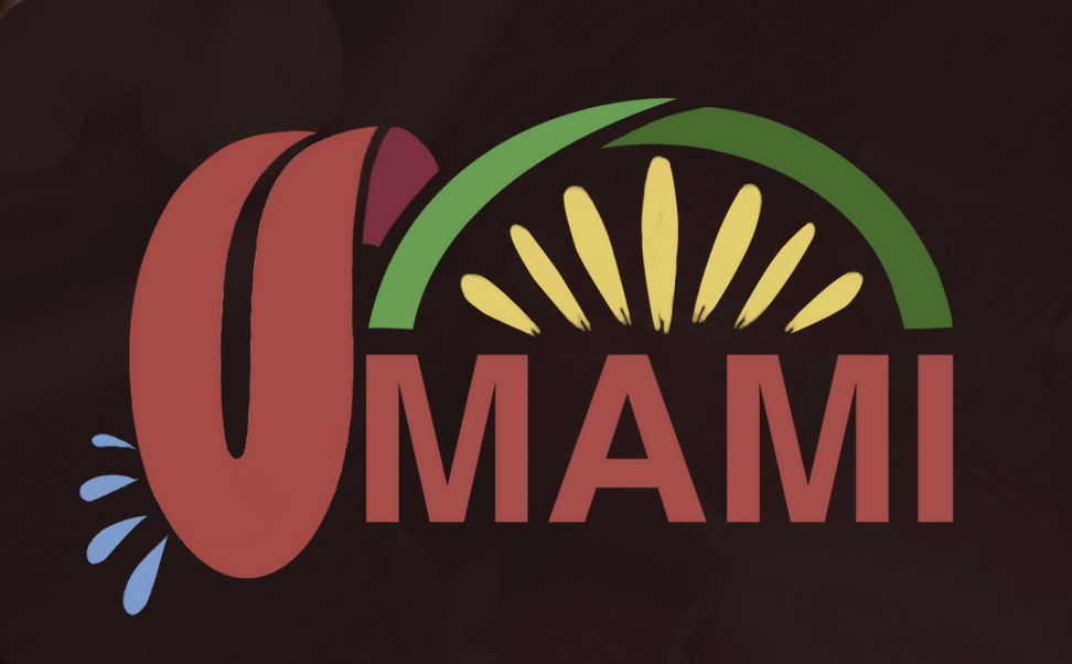 FHHS Virtual Enterprise – Arts and Business – Fort Hamilton High School