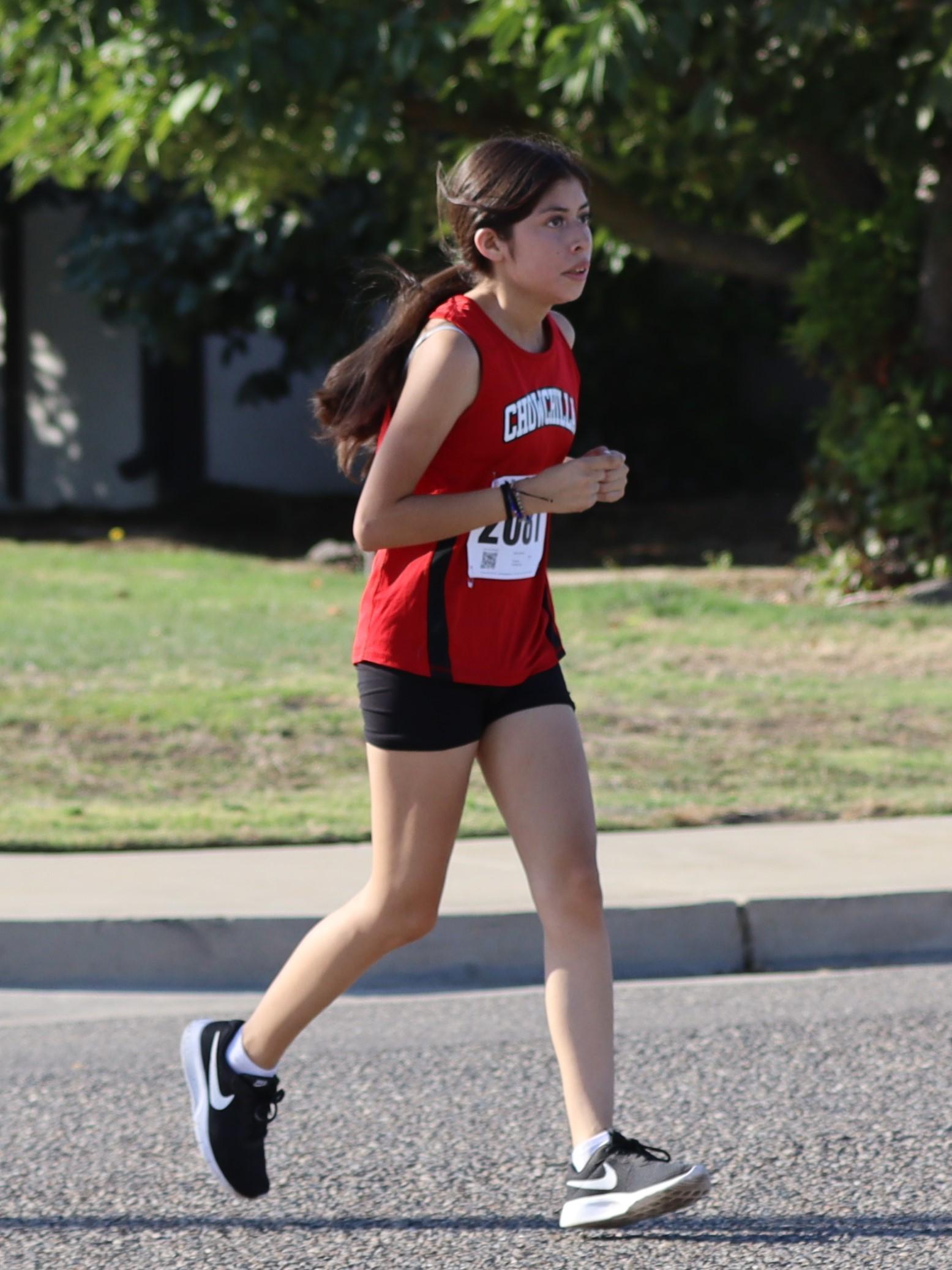 Cross Country @ Fowler, September 3, 2022 – CUHS Videos & Photos ...
